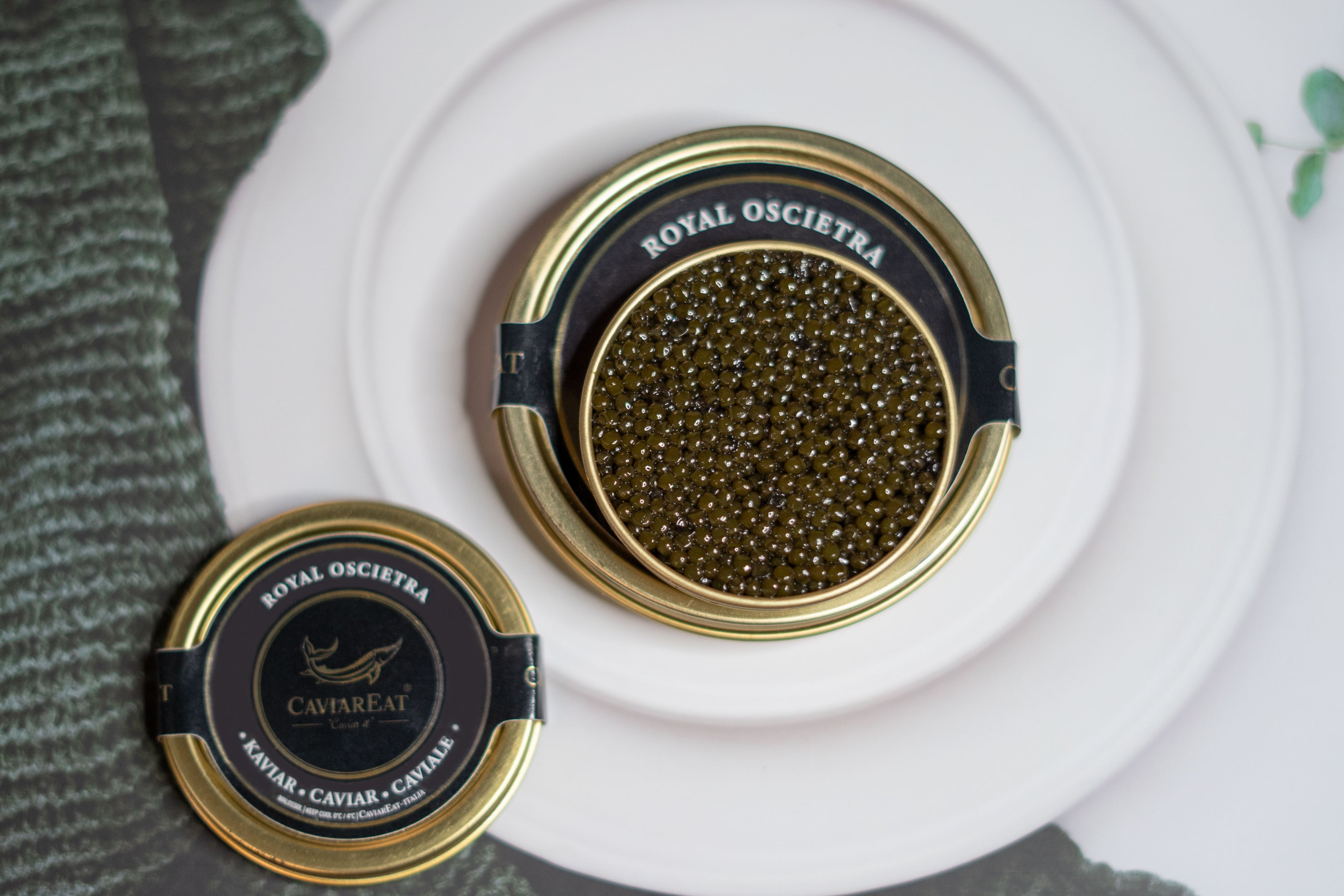 Royal Oscietra – Truffleat Thailand